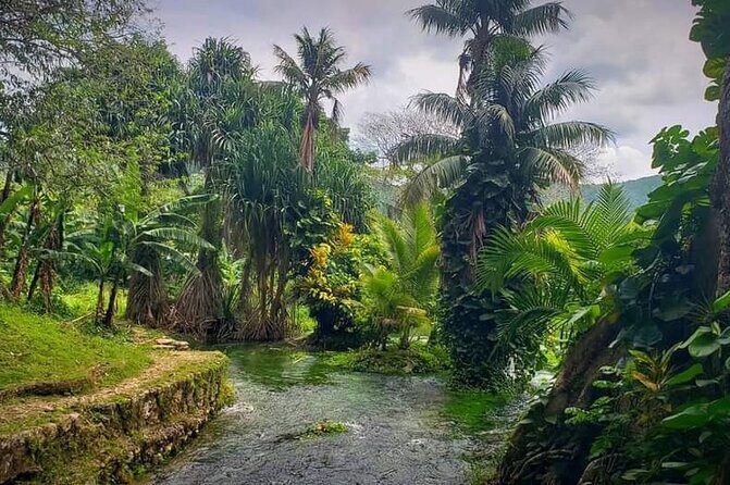 Rastafari Cultural ATV Community Experience from Negril - Final Thoughts