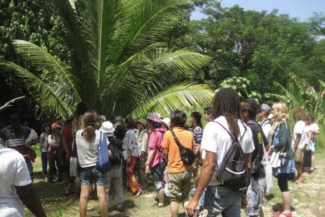 Rastafari Indigenous Village Tour - The Value of the Experience