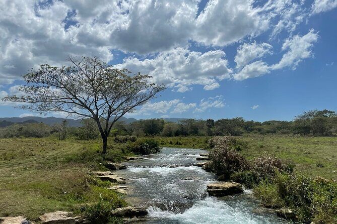 Rastasafari Experience in an ATV from Montego Bay with Lunch - Analyzing the Tours Value and Experience