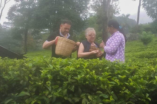 Ratmalana (RML) Airport to Kosgoda City Private Transfer - Key Points