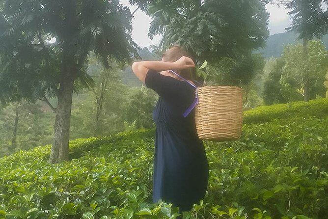 Ratmalana (RML) Airport to Unawatuna City Private Transfer - FAQ