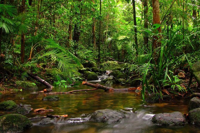 Ratnapura Full Day Tour with Water Falls, Gem Mines and Saman Devalaya - An In-Depth Look at the Ratnapura Full Day Tour