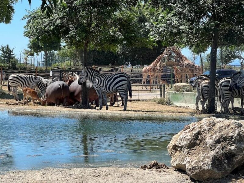 Ravenna: Safari Ravenna entrance ticket - Animal Encounters: Who’s Waiting?