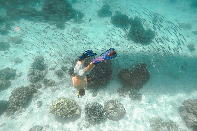 Raya Island / Mai Ton Island Private Boat Tour - What Travelers Say About This Tour