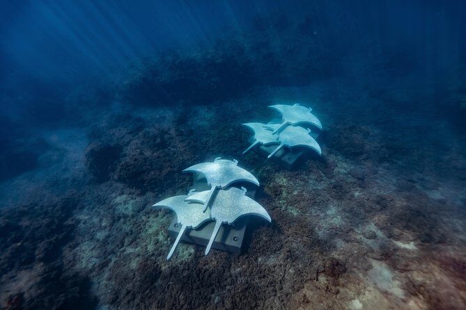 Rayglass Protector - Standard Private Charter - Whitsundays - The Sum Up