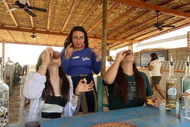 Razer Off-Road Adventure in Los Cabos - A Closer Look at the Razer Off-Road Experience