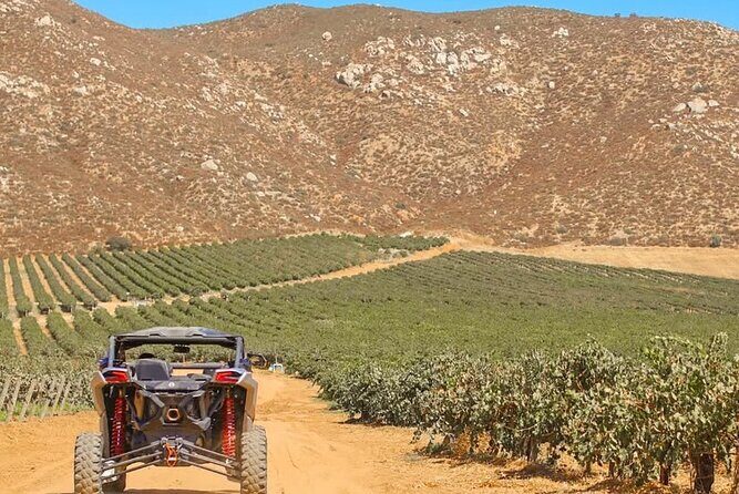 Razer Valley of Guadalupe Tour & Elena Restaurant & Bakus - Frequently Asked Questions