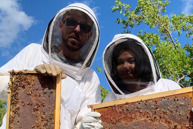 Reagans Honey Beekeeping Adventure - The Sum Up