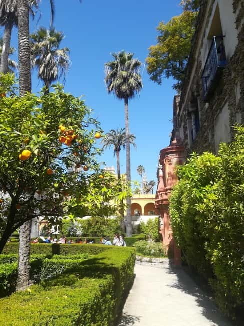 Real Alcázar of Seville Tiny Group Tour - FAQ