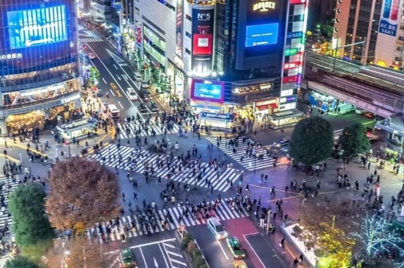 Real Anime Culture Tour in Shibuya: Food, Shopping & Game - Key Points