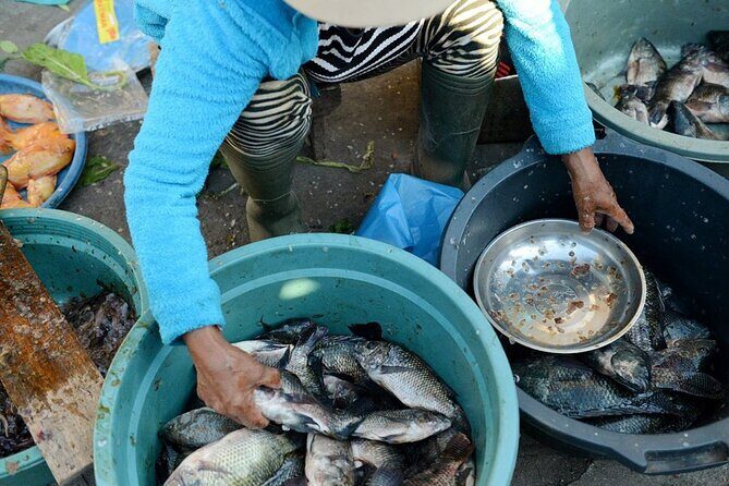 Real Bali Farm Cooking and Traditional Market Adventure in Ubud - Frequently Asked Questions