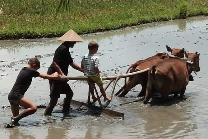 Real Bali Life -Traditional Village Experience ( All Inclusive) - FAQ