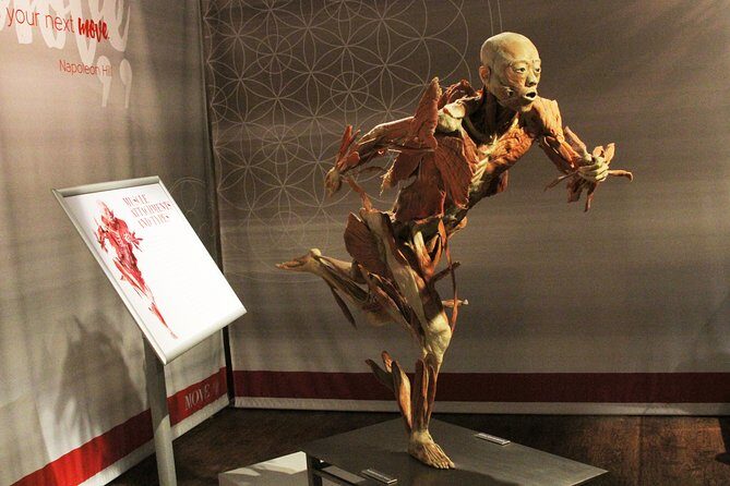 Real Bodies at Horseshoe Las Vegas - What to Expect in Practical Terms
