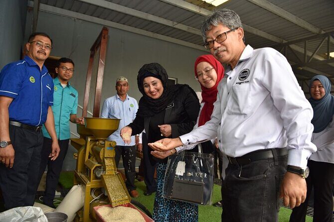 Real Experience of Being a Farmer in the Paddy - An In-Depth Look at the Tour Experience