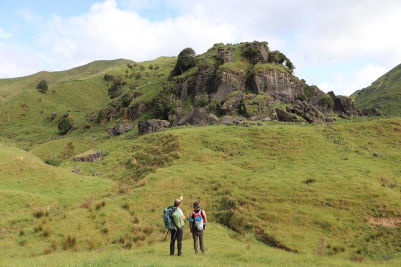 Real Rock, Climbing Experience! - What We Loved: Highlights from Past Reviewers