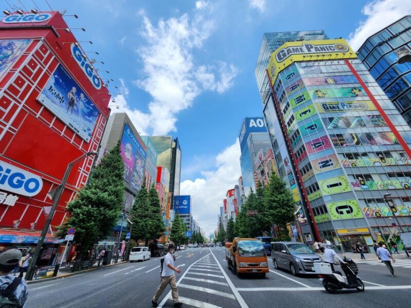 Real Tokyo in one day with a local - Who Is This Tour Best For?