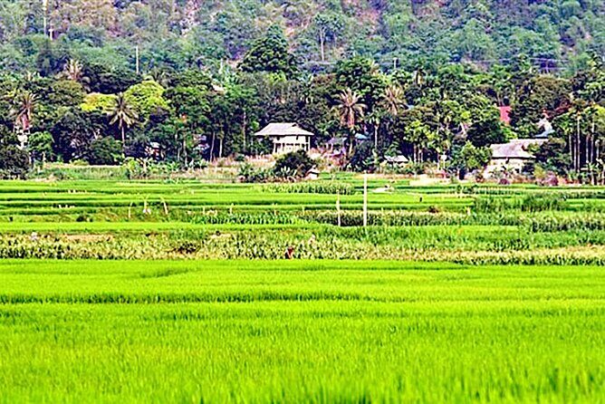 Real Vietnam Countryside Bicycle Tour & Enjoy Sunset On Wood Boat - The Real Value of This Tour