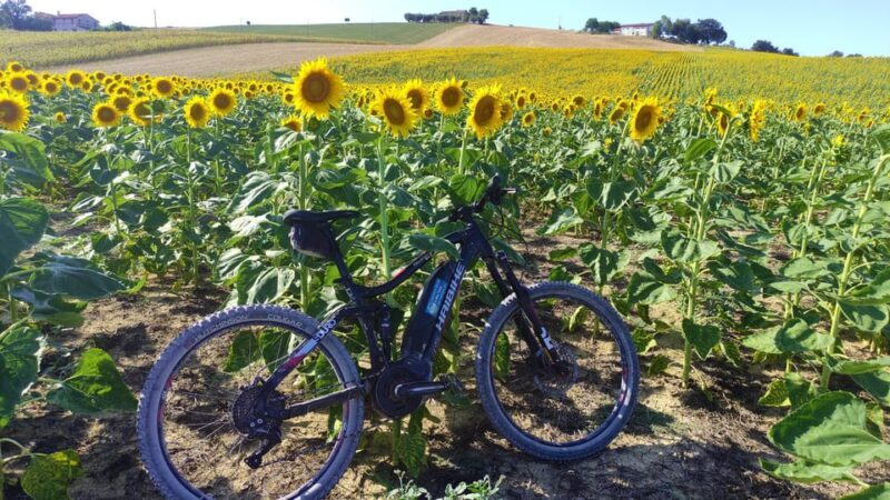 Recanati: discover the hills of infinity by E-Bike - Who Should Consider This Tour?