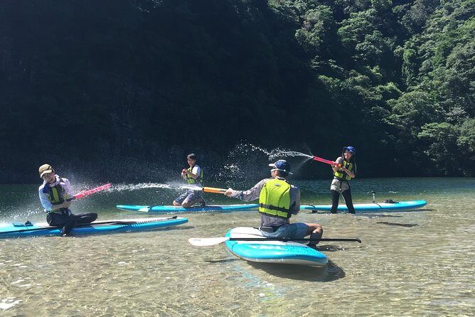 [Recommended on arrival date or before leaving! ] Relaxing and relaxing water walk Awakawa River SUP [half afternoon tour] - Who Should Consider This Tour?