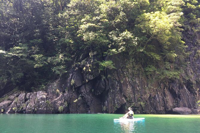 [Recommended on arrival date or before leaving! ] Relaxing and relaxing water walk Awakawa River SUP [Half-day tour] - What Makes This SUP Tour Stand Out
