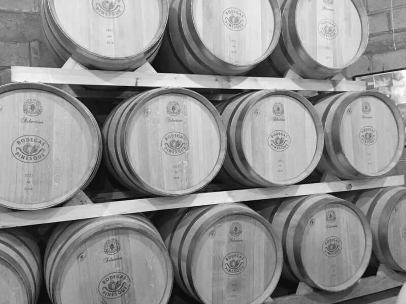 Recorrido + 1 vino / Tour + 1 wine - A Closer Look at the Tour Experience