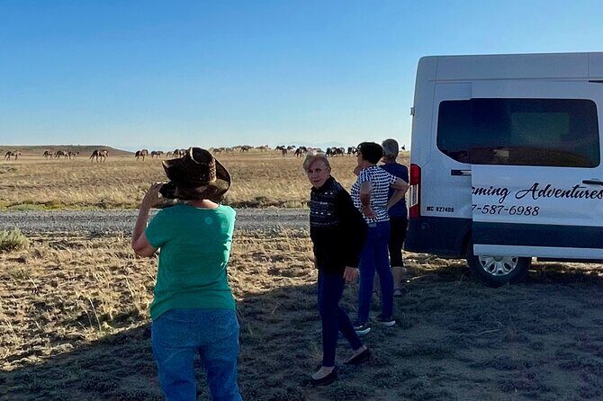 Red Canyon Wild Mustang Tours And Safaris In Cody Wyoming - Booking and Practicalities