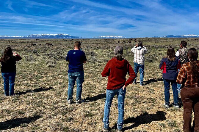Red Canyon Wild Mustang Tours And Safaris In Cody Wyoming - Who Would Love This Tour?