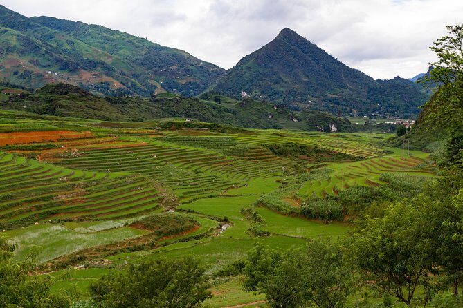 Red Dao village trek and Herbal bath - Introduction: A Tour Worth Considering in Sapa