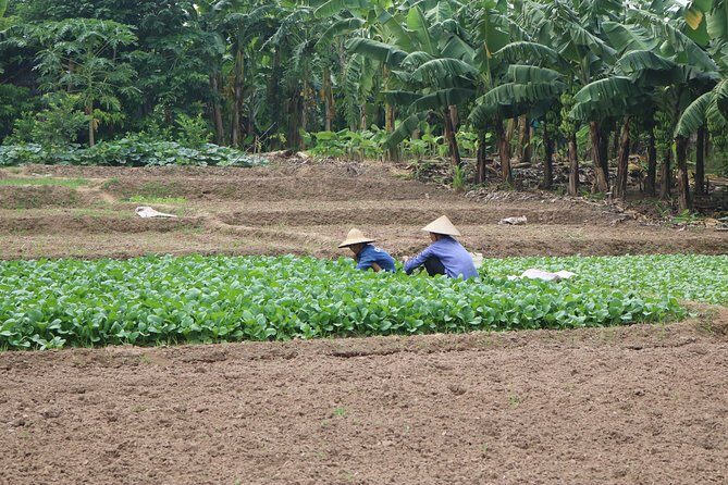 Red River island backroad, Rural Countyside Area and Train Street - An In-Depth Look at the Tour Itinerary