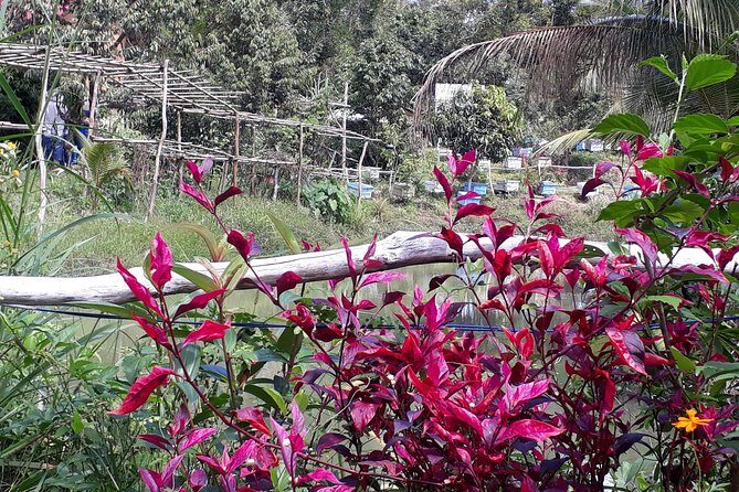 RED RIVER TOUR (Private Tour): LAND ISLAND TOUR AROUND THE SOUTH - Setting the Stage: Who Is This Tour For?