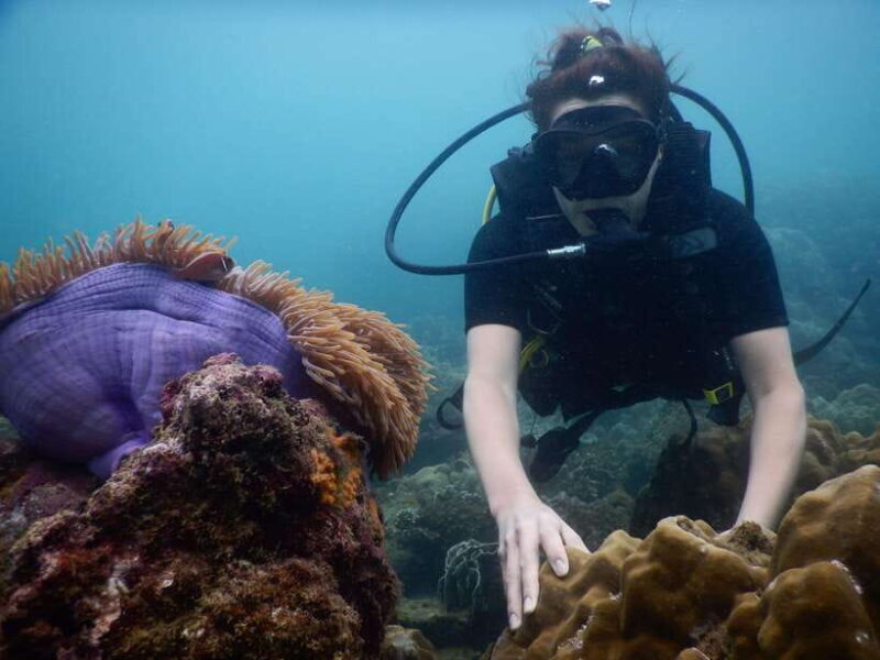 [Red River Tours] Luxury Professional Scuba Diving - Key Points