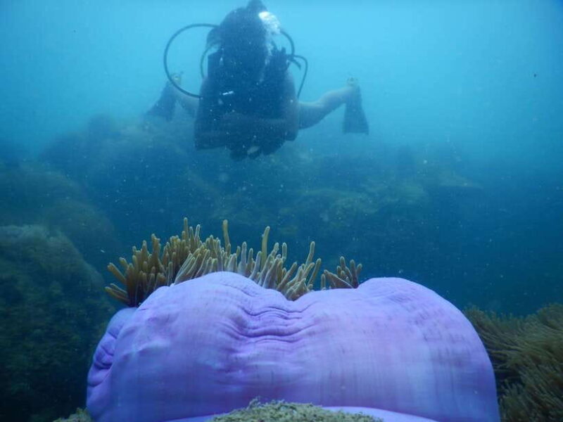 [Red River Tours] Luxury Professional Scuba Diving - Frequently Asked Questions