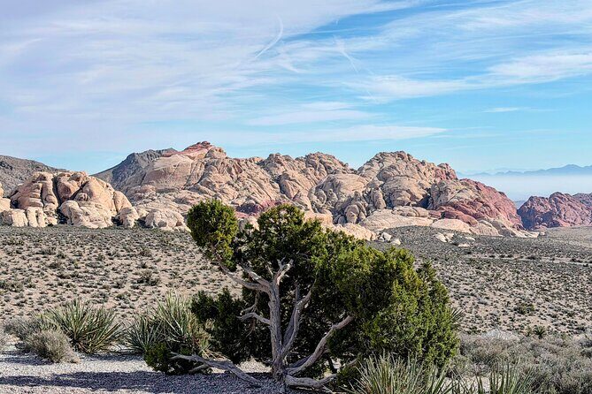 Red Rock Canyon and Hoover Dam Day Trip from Las Vegas - What We Love (And What to Consider)