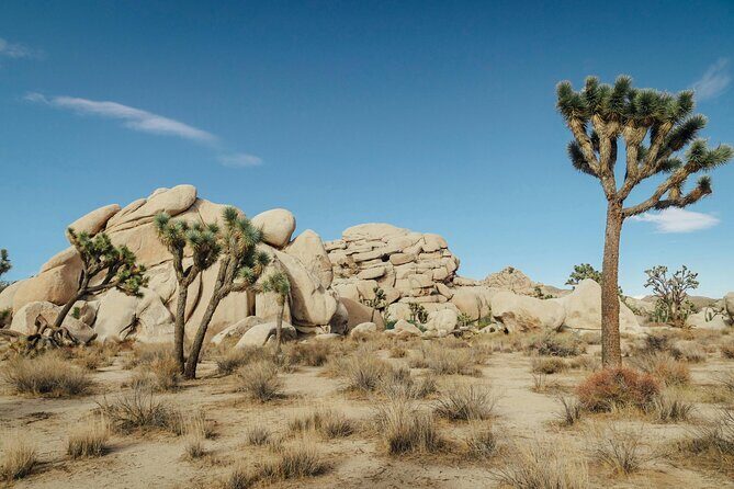 Red Rock Canyon & Calico Basin Self Guided Audio Tour - FAQs
