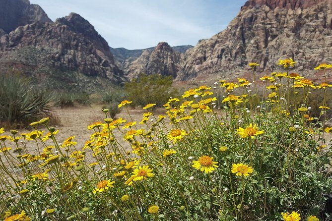 Red Rock Canyon eBike Half-Day Tour - Final Thoughts