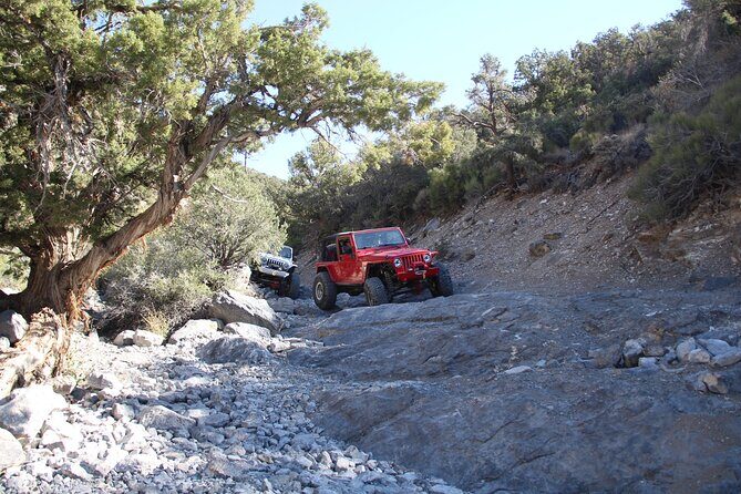 Red Rock Canyon Half Day Jeep Tour Offroad Adventure - Practical Tips for Participants