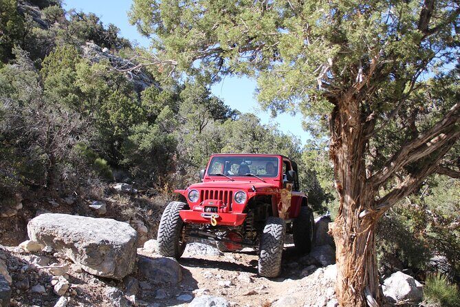 Red Rock Canyon Half Day Jeep Tour Offroad Adventure - Who Will Love This Tour