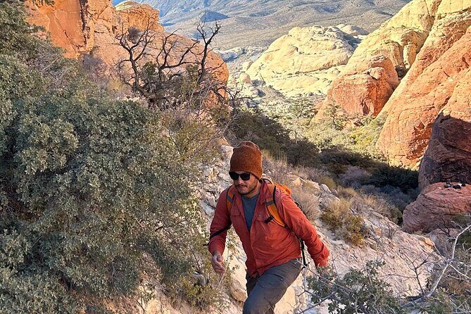 Red Rock Canyon Hiking Adventure fom Las Vegas - Who Will Love This Tour?