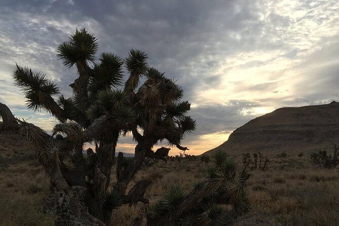 Red Rock Canyon Sunset Horseback Ride and Barbeque Dinner - Post-Ride Campfire and Dinner