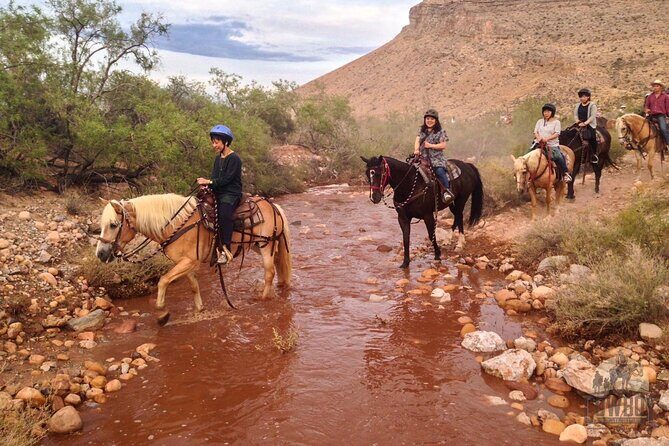 Red Rock Canyon Sunset Horseback Ride and Barbeque Dinner - Who Will Enjoy This Tour?