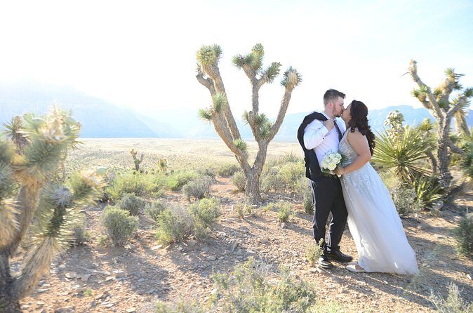 Red Rock Canyon Wedding by Private Limousine - Authentic Feedback from Past Couples
