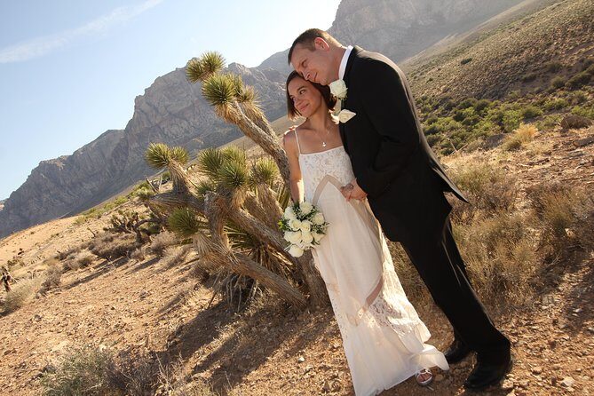 Red Rock Canyon Wedding by Private Limousine - FAQ