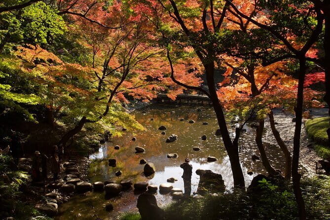 Red, Yellow and Brown - Visit autumn leaves spots in Tokyo - Introduction: What You Get with This Autumn Leaves Tour