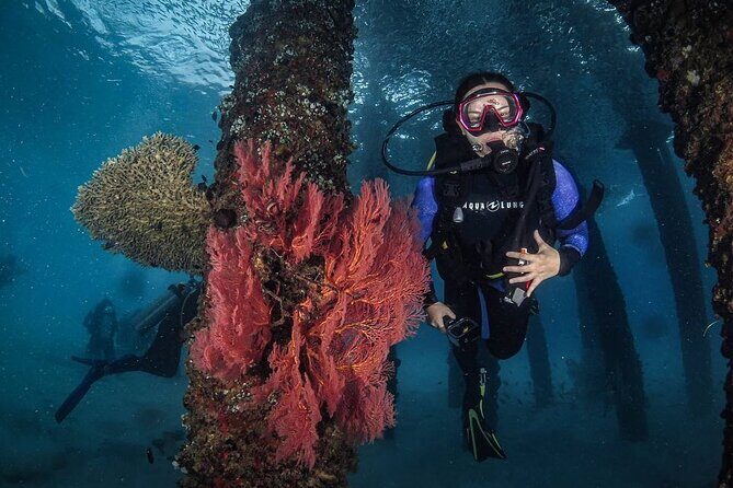 Redang Island Scuba Diving for Beginners - Introduction