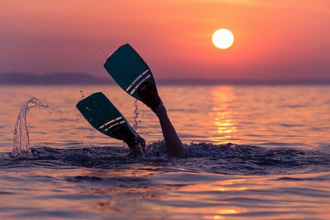 Redang Night Snorkeling Trip (Private Tour) - Introduction