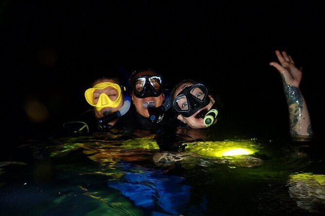 Redang Night Snorkeling Trip (Private Tour) - Key Points