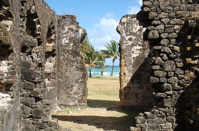 Rediut Beach OR Pigeon Island Beach Break Cruise Ship only Groups - Who Should Book This Tour?
