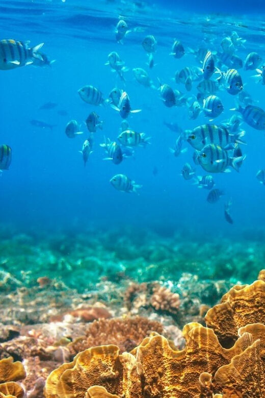 RedRiverTour-Discovery 3 Islets, Snorkeling &Fishing By Boat - Final Thoughts