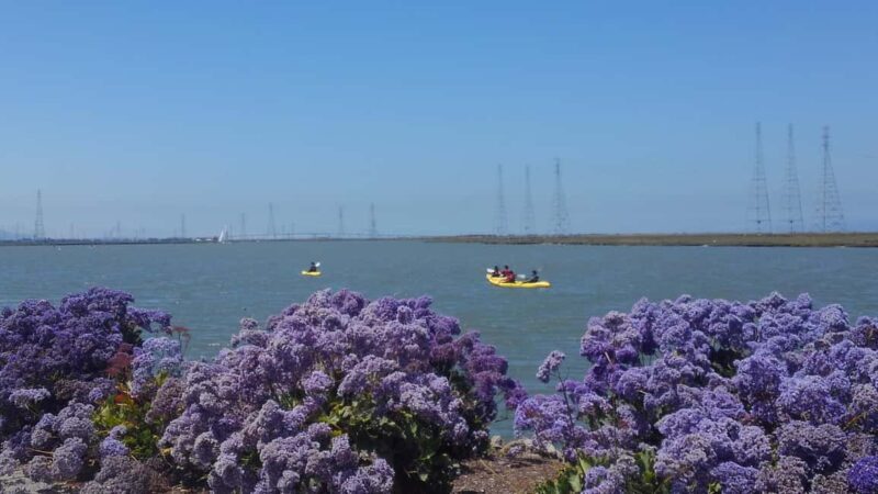 Redwood City: Kayak Rental - Redwood City: Kayak Rental — A Practical Guide to Exploring San Francisco Bay from the Water