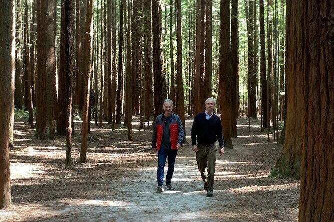 Redwood Forest , Blue Springs & Huka Falls Day Tour from Auckland - Frequently Asked Questions